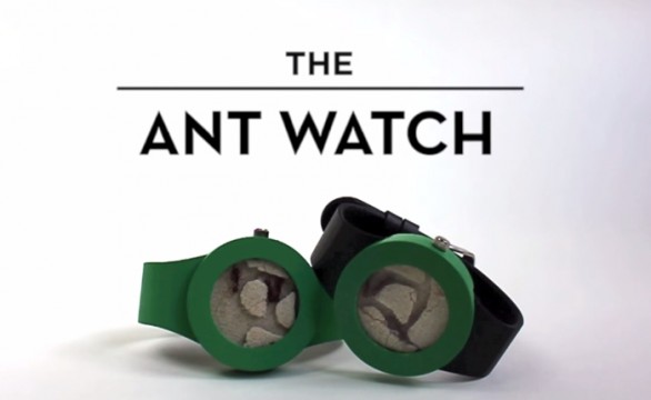 The Ant Watch นาฬิกาข้อมือสุดแปลก ไม่มีเข็ม มีแต่ “มด”