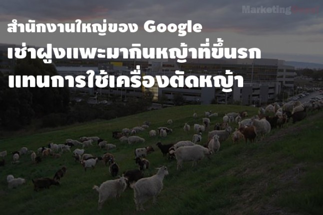 15 เรื่องจริงสุดอเมซิ่งจาก Google