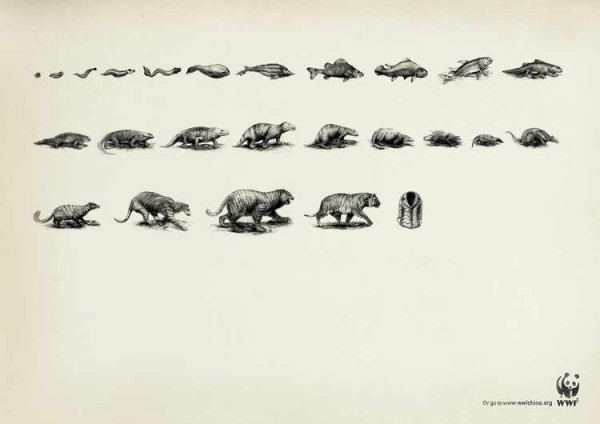 100 Print Ads ไอเดียเจ๋งจาก WWF ที่เราไม่อยากคุณพลาด