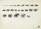 100 Print Ads ไอเดียเจ๋งจาก WWF ที่เราไม่อยากคุณพลาด