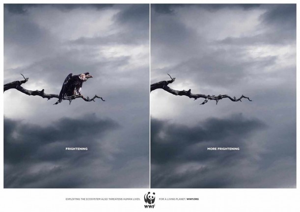100 Print Ads ไอเดียเจ๋งจาก WWF ที่เราไม่อยากคุณพลาด