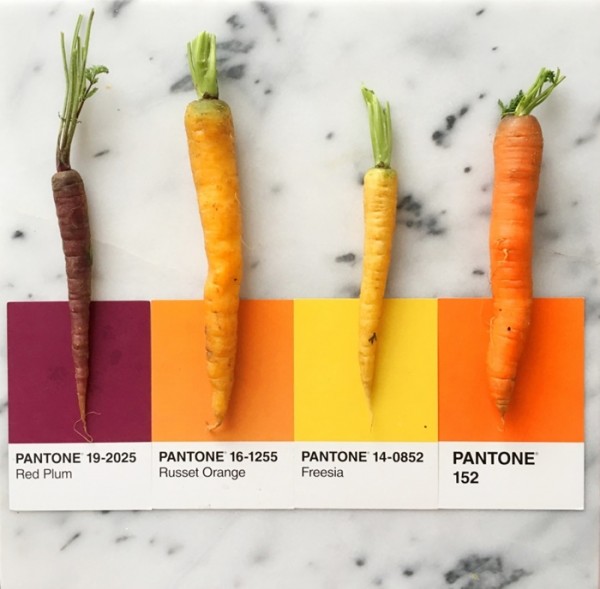ชวนดูไอเดียเก๋ๆ ในการถ่ายภาพอาหารโดยใช้เฉดสีเดียวกับ Pantone