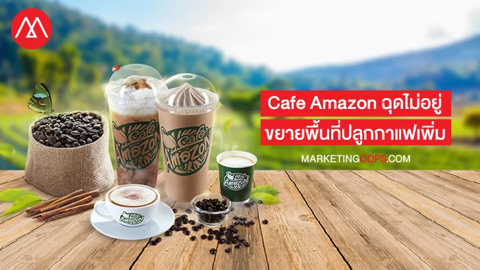 Cafe Amazon ฉุดไม่อยู่ ขยายพื้นที่ปลูกกาแฟเพิ่ม