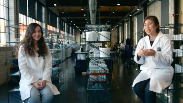 ไม่ใช่ November แต่เป็น Knowvember! แบรนด์สกินแคร์ Deciem ทำแคมเปญเตือน ...