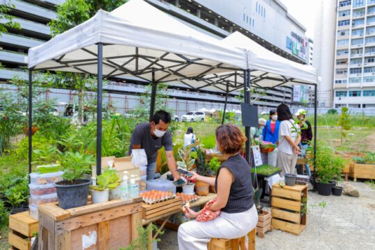 'g Garden' CSR คอนเซปต์เก๋ กับการเปลี่ยนพื้นที่รอก่อสร้างเป็นสวนผัก นำ ...