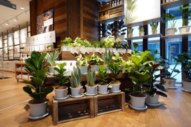 กางแผน “MUJI” ลุยขยายสาขาในไทย เล็งเปิด “Flagship Store” 4,500 ตร.ม. ...