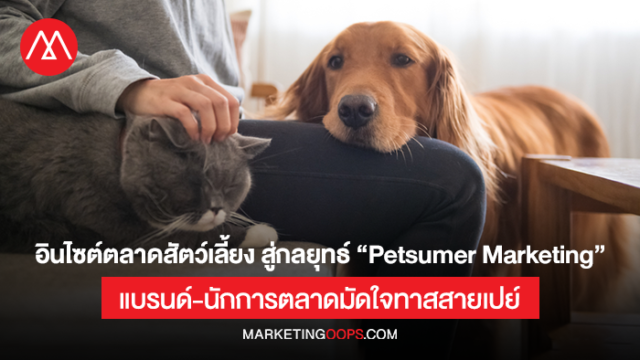 อินไซต์ตลาดสัตว์เลี้ยง คนไทยนิยมเลี้ยงสัตว์แทนลูก - ถอดกลยุทธ์ “Petsumer Marketing” เอาใจทาสสายเปย์