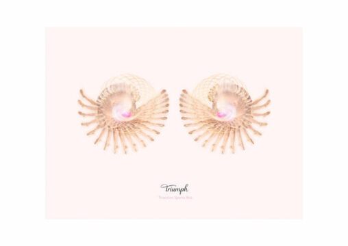 Triumph ใช้ภาพโครโนกราฟ นำเสนอสปอร์ตบราใหม่สุดแปลกตา สะท้อนความสบาย ...