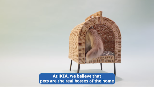 IKEA UK ชู "Cat-alogue" คู่ "Dog-alogue" วางศูนย์กลางเฟอร์นิเจอร์ที่ ...