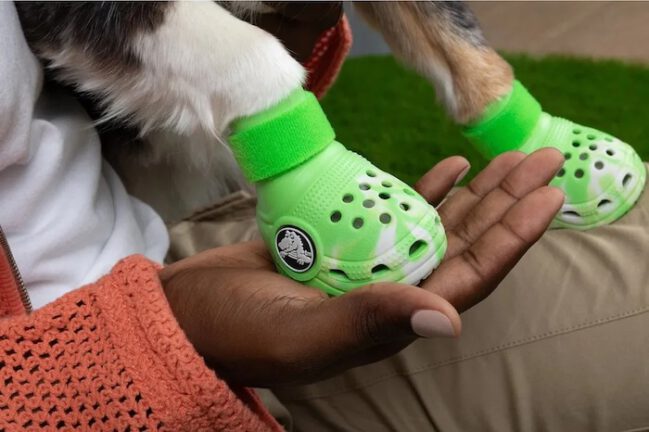 Crocs เอาใจน้องหมา เปิดตลาดรองเท้าจิ๋วสำหรับสุนัขฉลองวัน Crocs Day แห่งชาติ