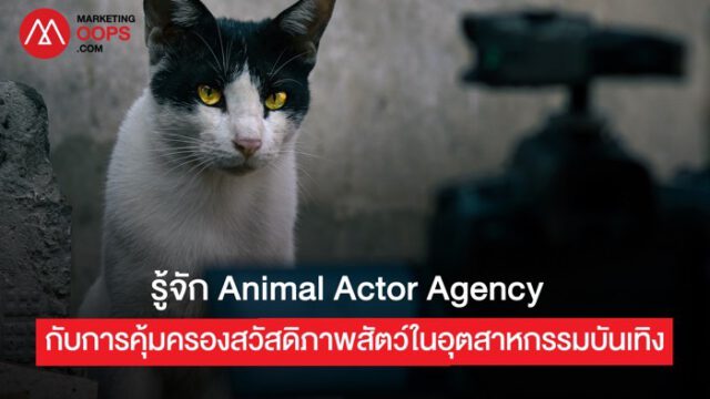 รู้จัก Animal Actor Agency เอเจนซี่สัตว์นักแสดงระดับอินเตอร์ ทำงาน ...