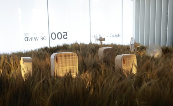Hatari x Habits Design Studio จัดนิทรรศการอิมเมอร์ซีฟ "500 Cubic Meters ...